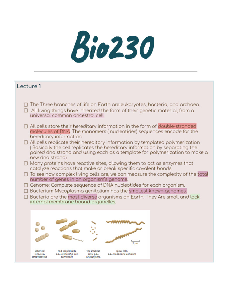 BIO230 - Section 1 Regulation of Genome Expression Lecture 1-9 | PDF | Messenger Rna | Operon