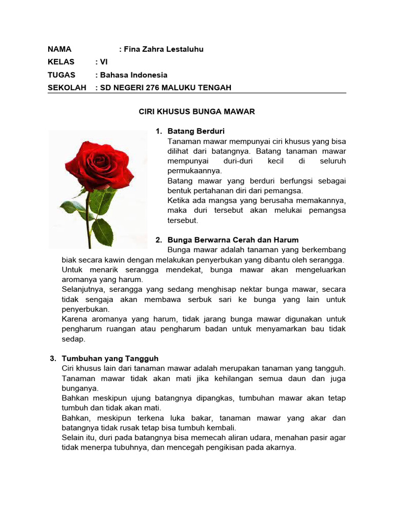 Bunga Mawar Dan Melati | PDF