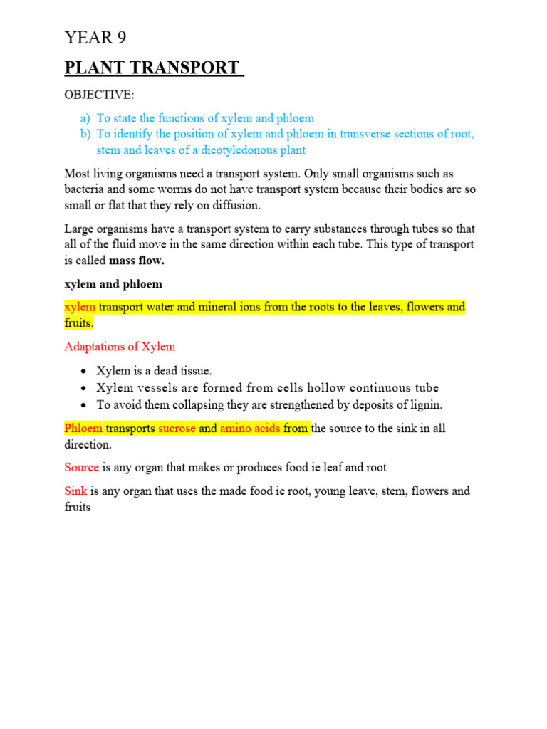 YEAR 9 TRANSPORT IN PLANTS Lesson 3 | PDF