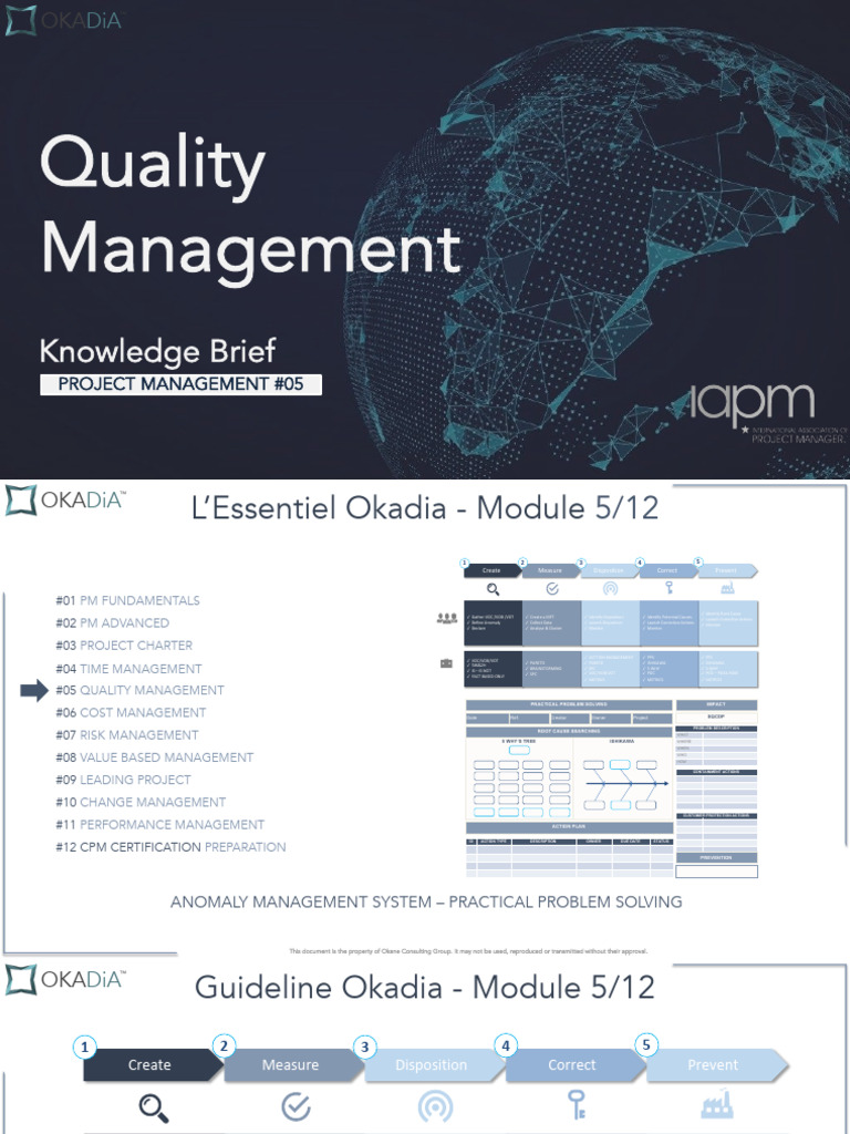 Okadia - Knowledge Brief Pm#05 | PDF | Systems Science | Cognitive Science