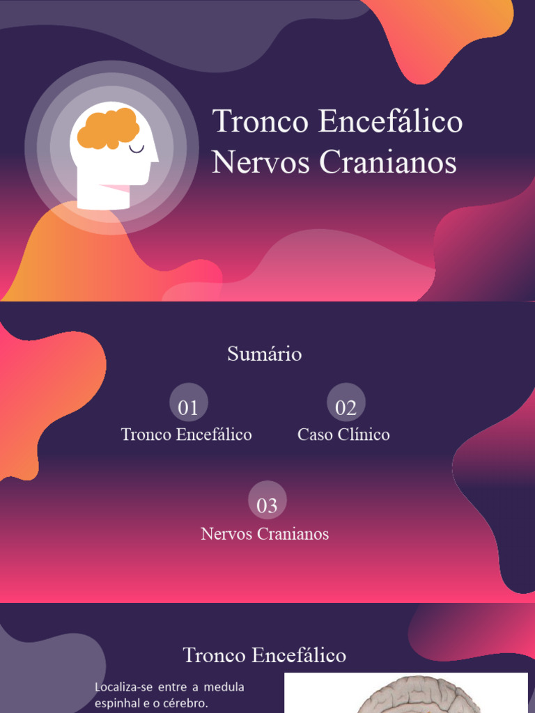 anato tronco cefalico | PDF