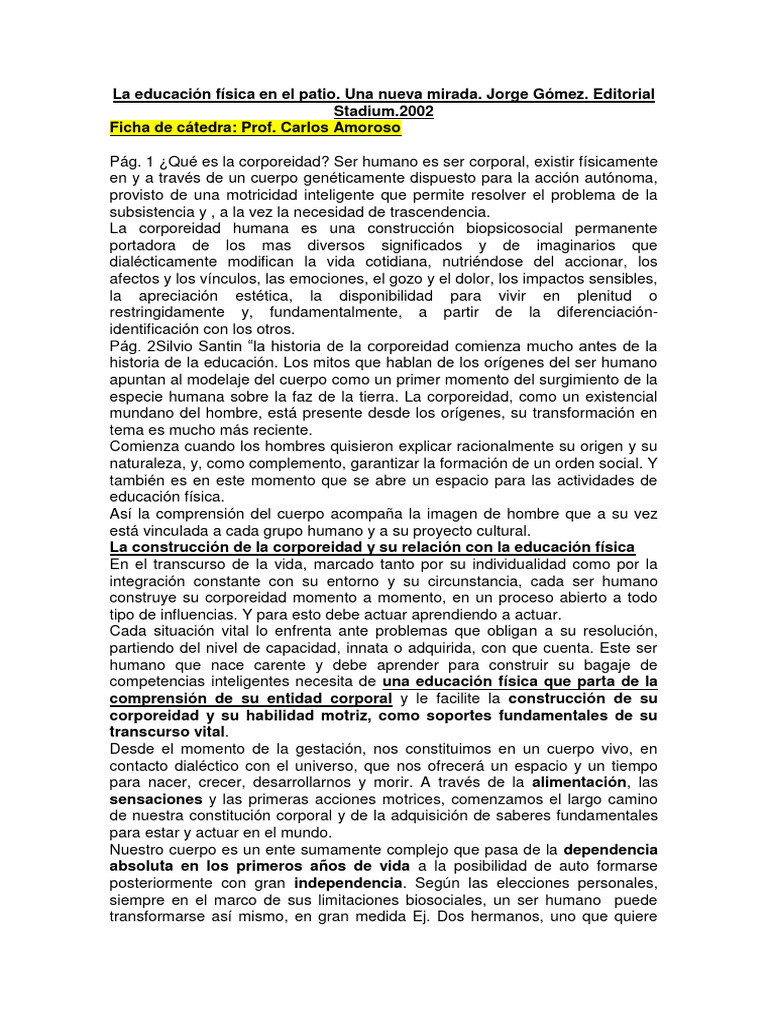 La Educación Física en El Patio | PDF