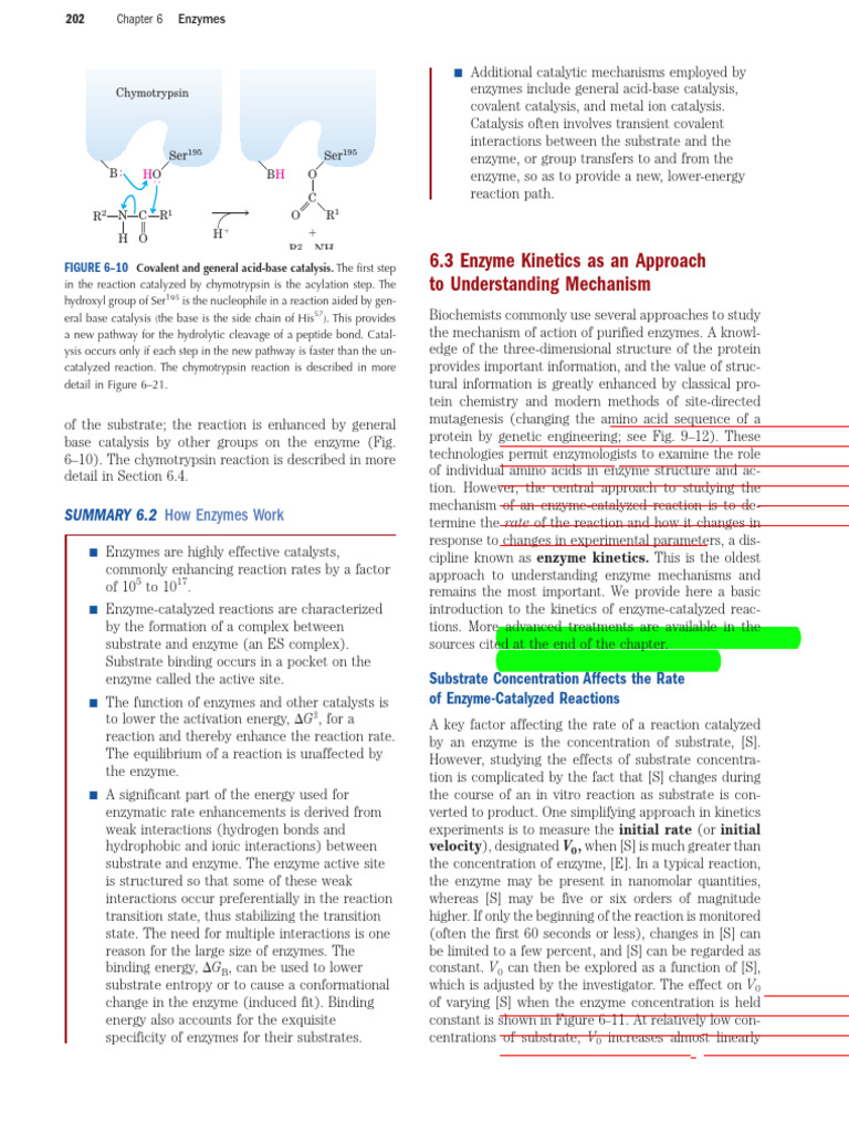 Enzyme Kinetics | PDF | Enzyme Kinetics | Enzyme