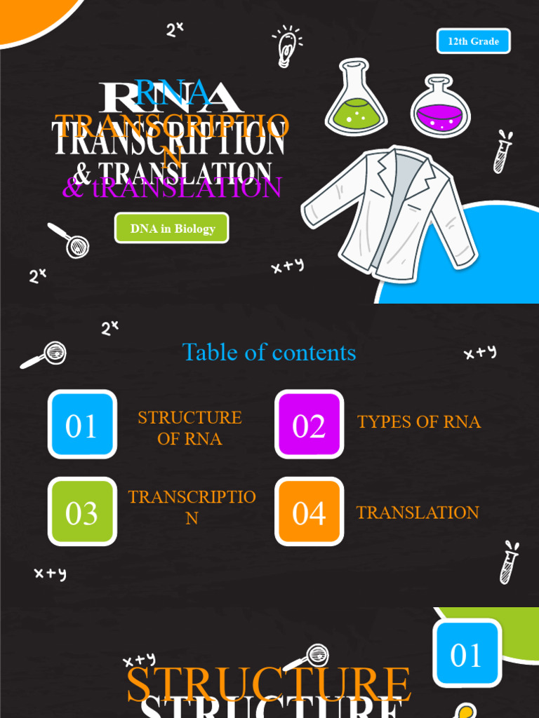 Transcription and Translation | PDF | Rna | Translation (Biology)