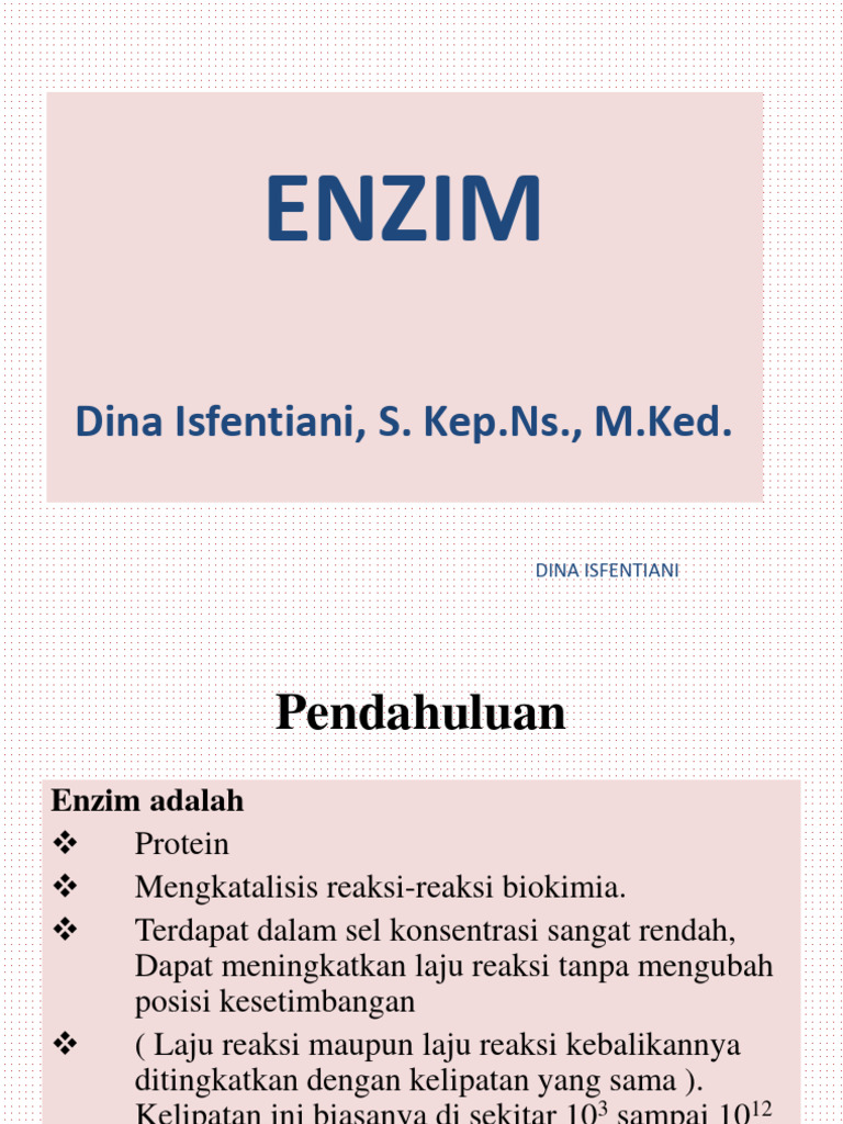 1b. ENZIM DAN KO ENZIM, Fix | PDF