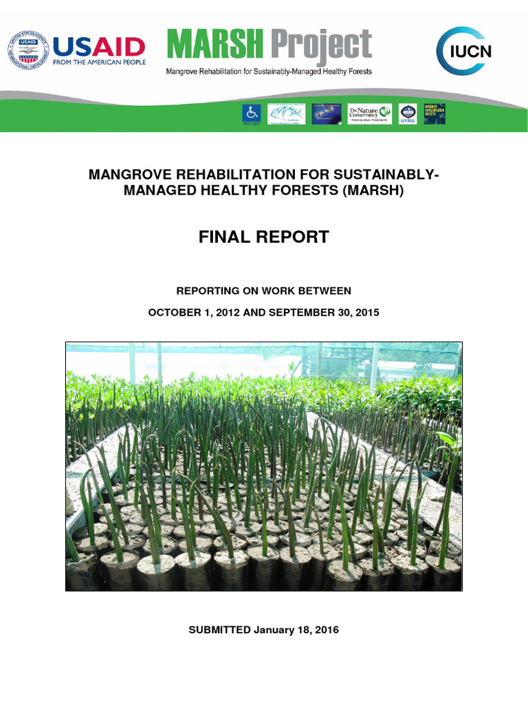 Marsh Final Report | PDF | Coral Reef | Habitat Destruction