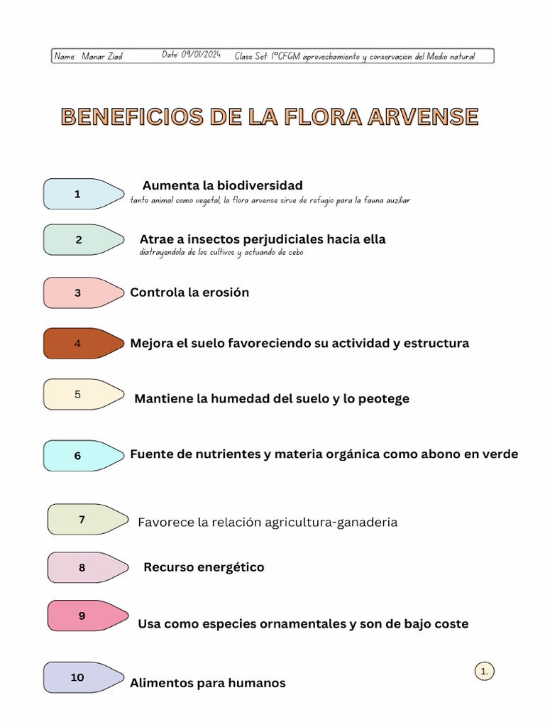 Balancing Chemical Equations Notes and Practice Problems Worksheet ...
