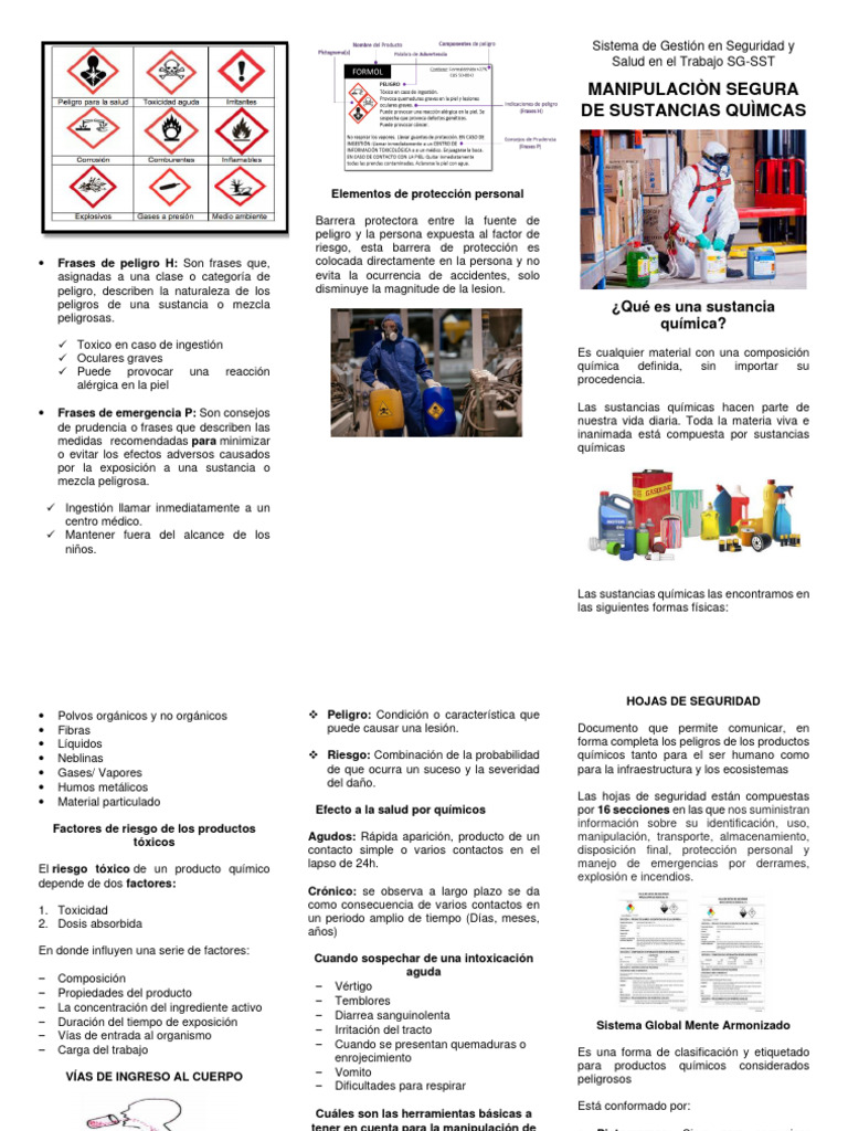 Maneo Seguro de Sustancias Quimicas | PDF | Toxicidad | Riesgo
