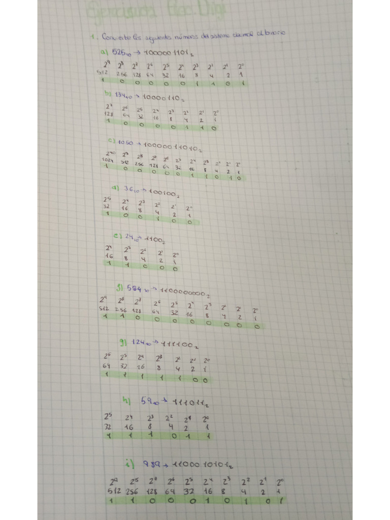 Ficha Electrónica Digital | PDF