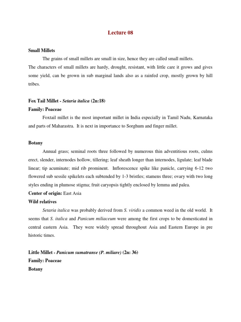 Lec 08 | PDF | Plant Morphology | Botany