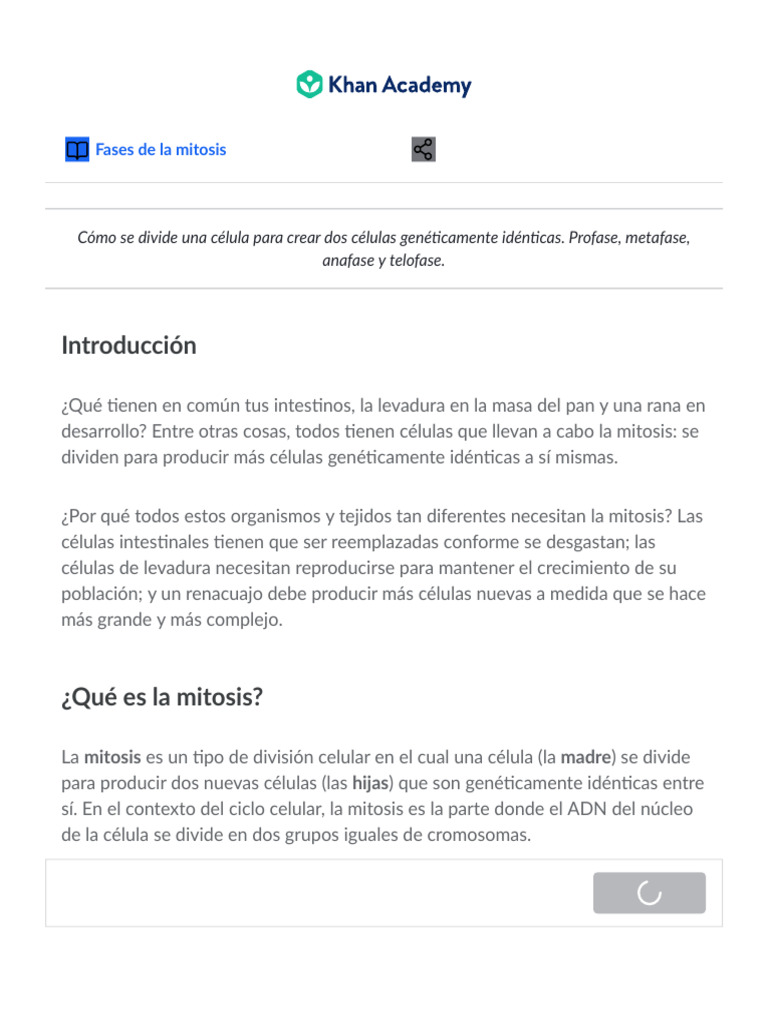 Fases de La Mitosis (Artículo) Khan Academy | PDF