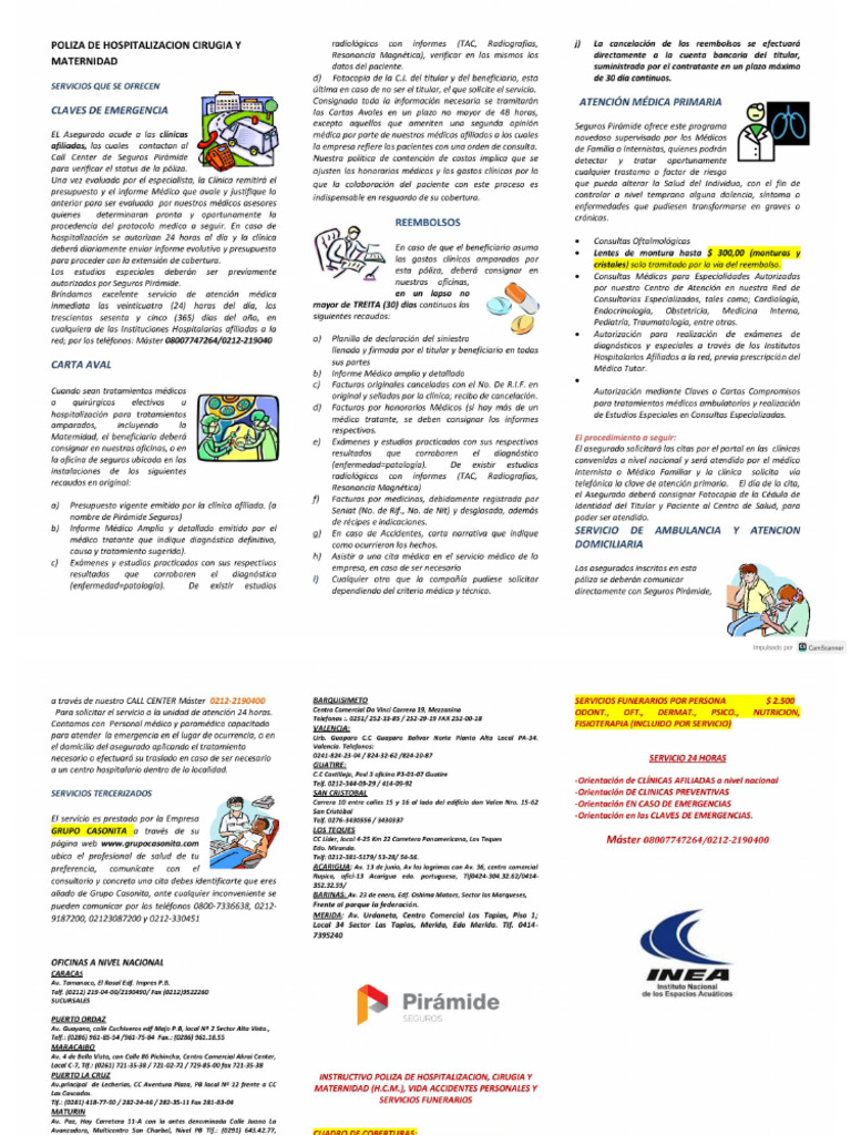 Triptico Inea Seguros Piramide | PDF