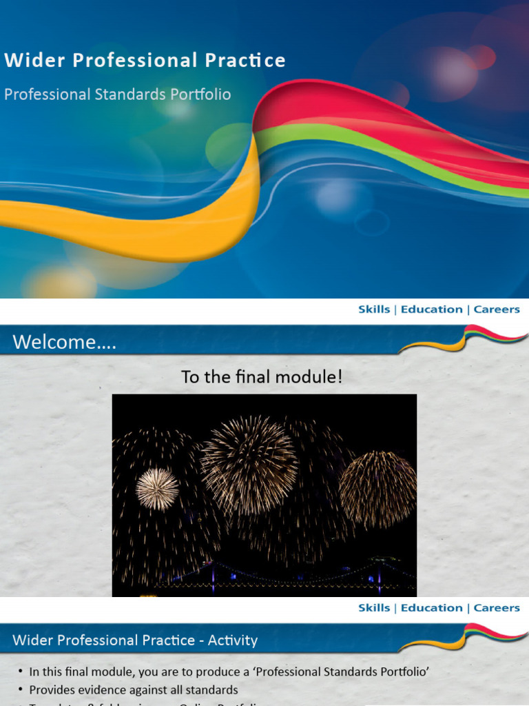 Professional Standards Portfolio Guide | PDF | Evidence | Cognition