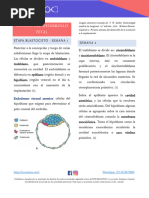 Desarrollo Del Saco Coriónico | PDF | Ciencia y matemáticas