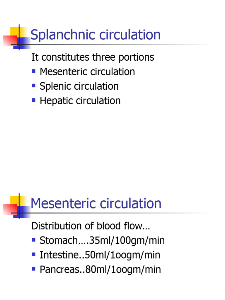 Splan - Cerebral Circulation | PDF | Blood Vessel | Blood