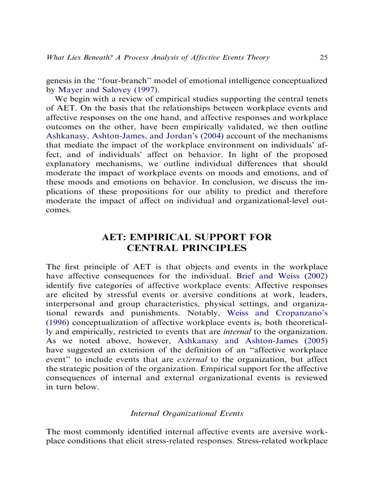 Affective Events Theory in the Workplace | PDF