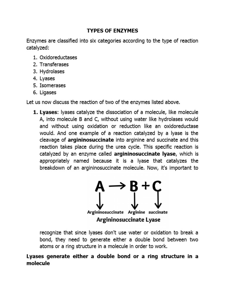 types of enzymes | PDF | Enzyme | Cofactor (Biochemistry)