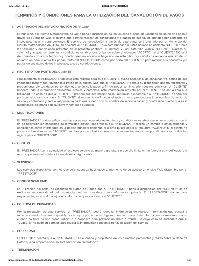 Consulta de Obligaciones - Términos y Condiciones | PDF | Red mundial | Internet y web