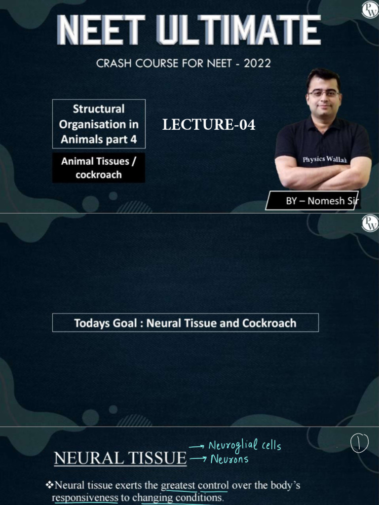 Structural Organisation in Animals-04 - Classnotes - Structural ...