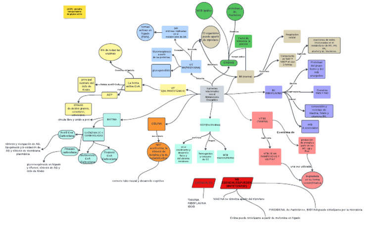 Mapa Conceptual (1) | PDF