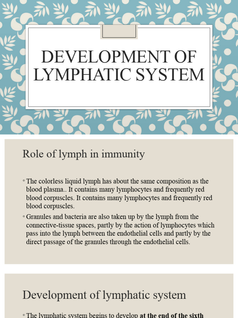 Development of Lymphatic System | PDF