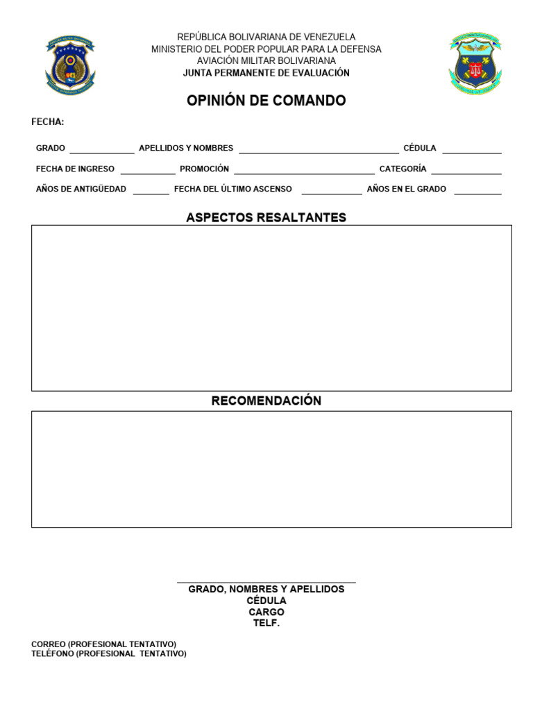 Nuevo Formato de Opinion de Comando-1 | PDF