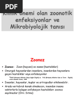 Tatarcik | PDF
