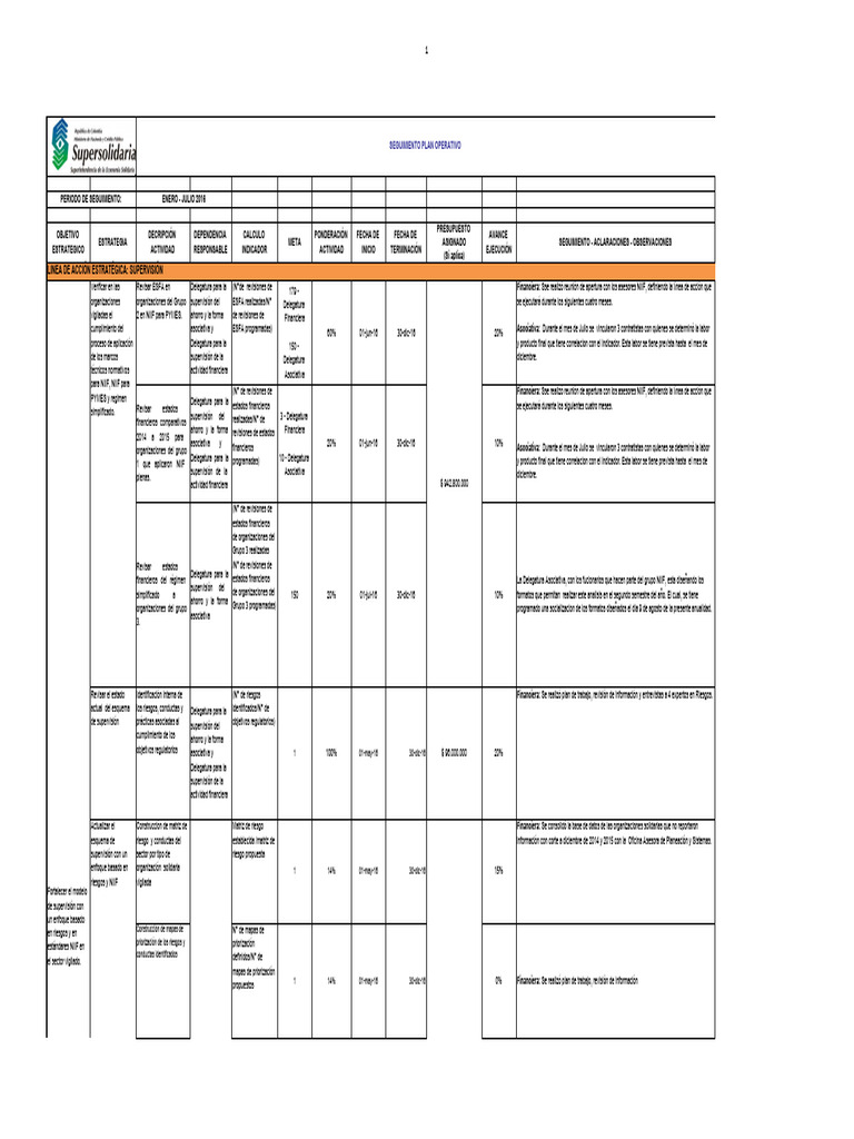 Formato Seguimiento Poa Julio 0 0 | PDF | Presupuesto | normas ...