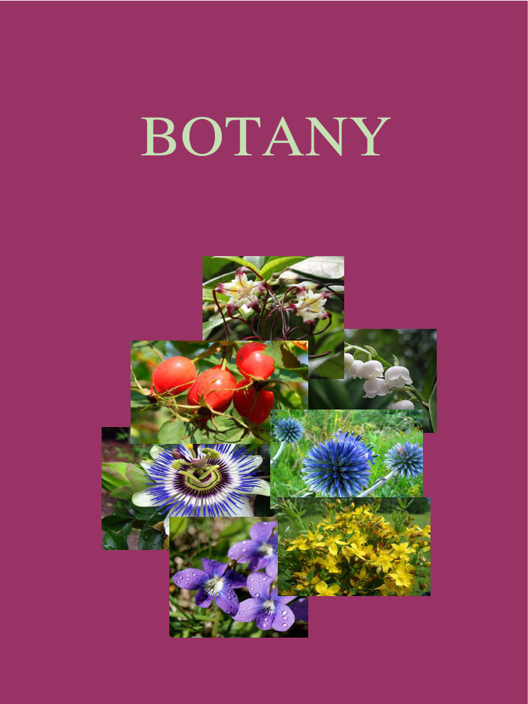 Botany | PDF | Chloroplast | Tissue (Biology)