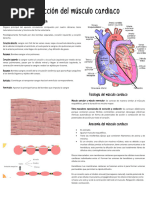 Resumen Capitulo 9 Fisiología de Guyton | PDF | Potencial de acción | Ventrículo (corazón)