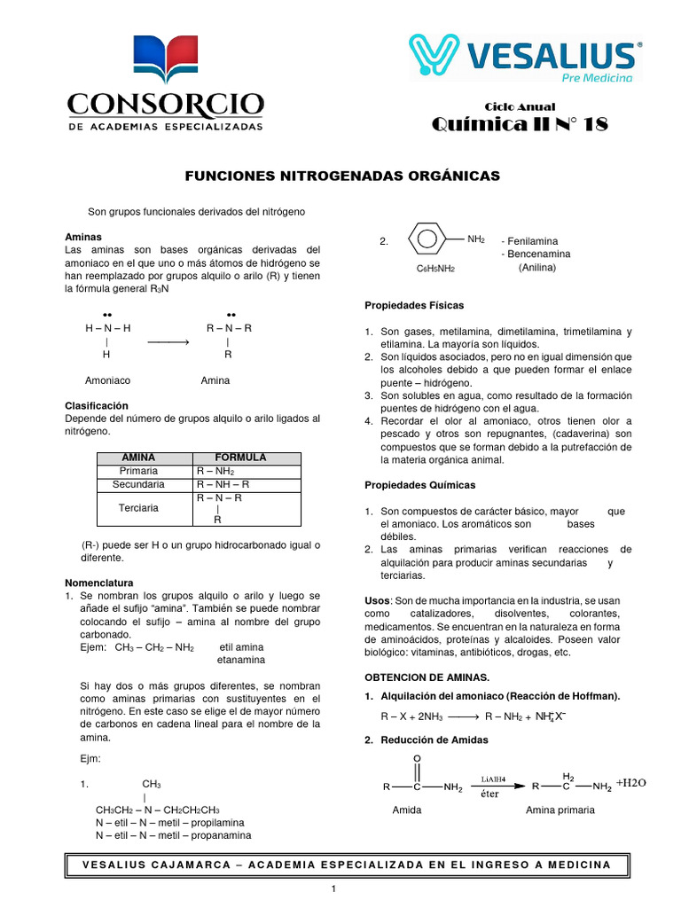 18 Funciones Nitrogenadas Orgánicas | Descargar gratis PDF | Amina | Amida
