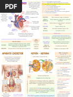 Escala de Rifle | PDF | Función renal | Creatinina