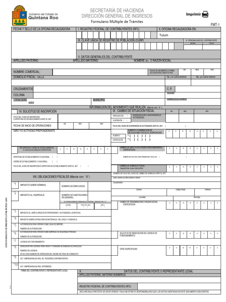 FMT (Formulario Multiple de Tramites | Descargar gratis PDF | Gobierno