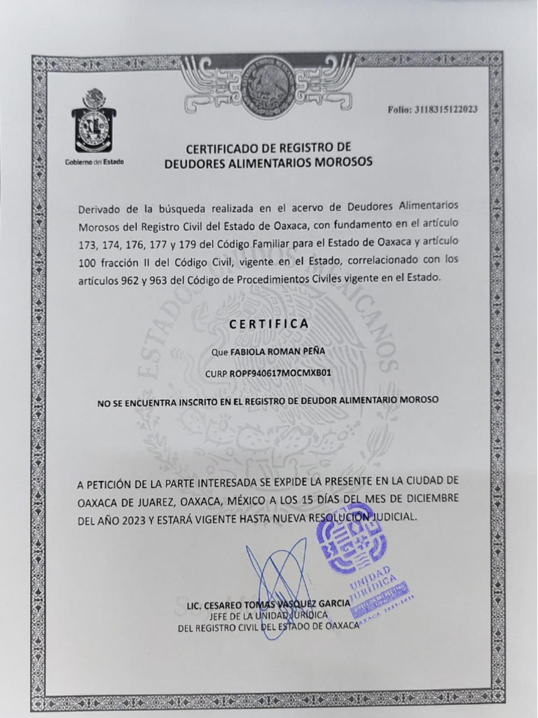 Certificado de Registro de Deudores Alimentarios Morosos | PDF