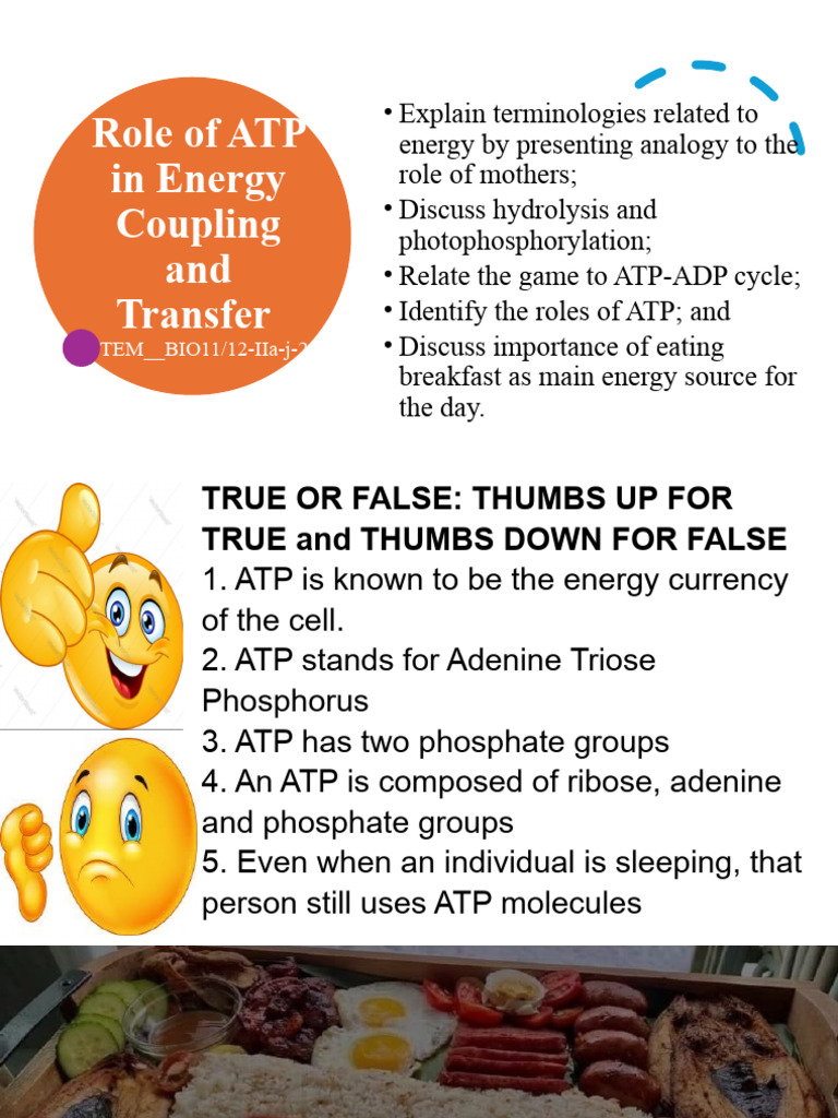 ATP: Key to Energy Coupling Explained | PDF | Wellness | Science ...