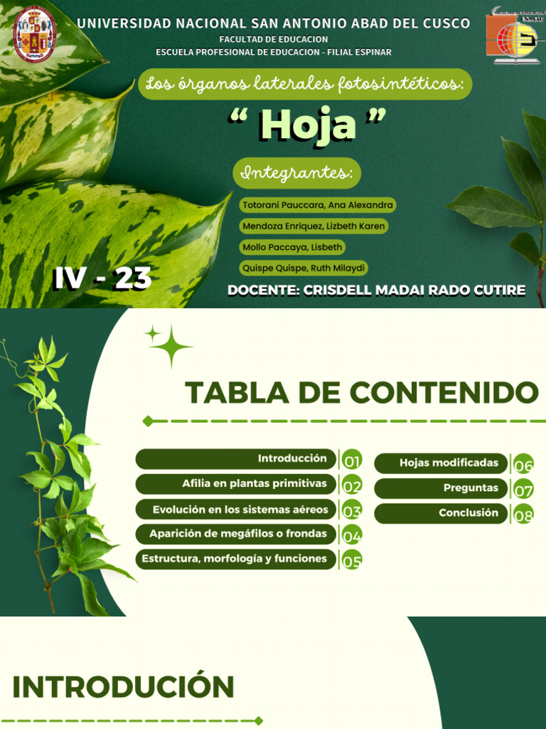 Hoja | PDF