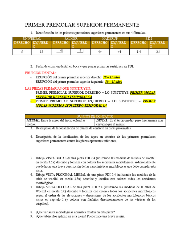 Dibujo Primer Premolar Superior Permanente | PDF | Anatomia dental | Diente