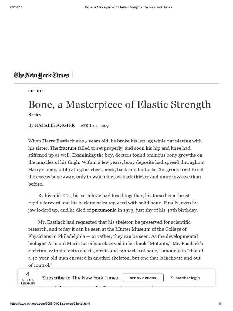 Bone, A Masterpiece of Elastic Strength - The New York Times | PDF ...
