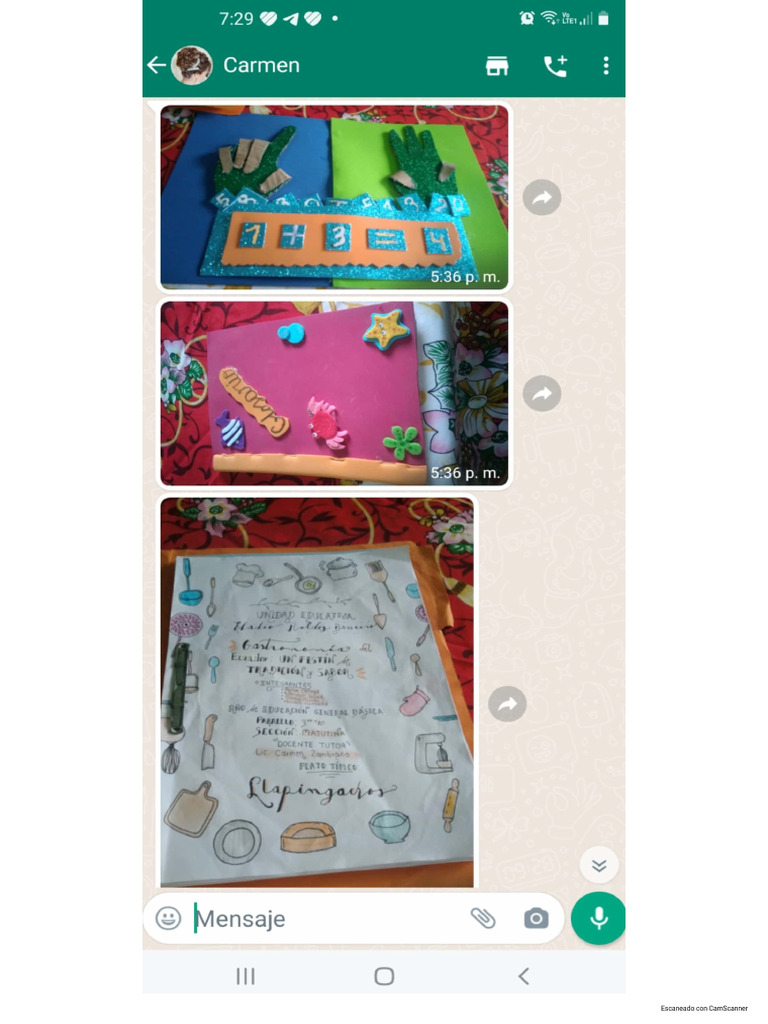 CamScanner 24-01-2024 19.33 | PDF