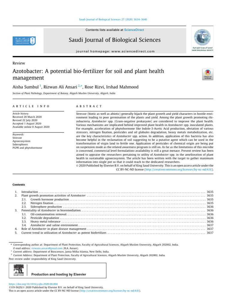 Azotobacter as a Bio-Fertilizer for Plants | PDF | Soil | Bacteria