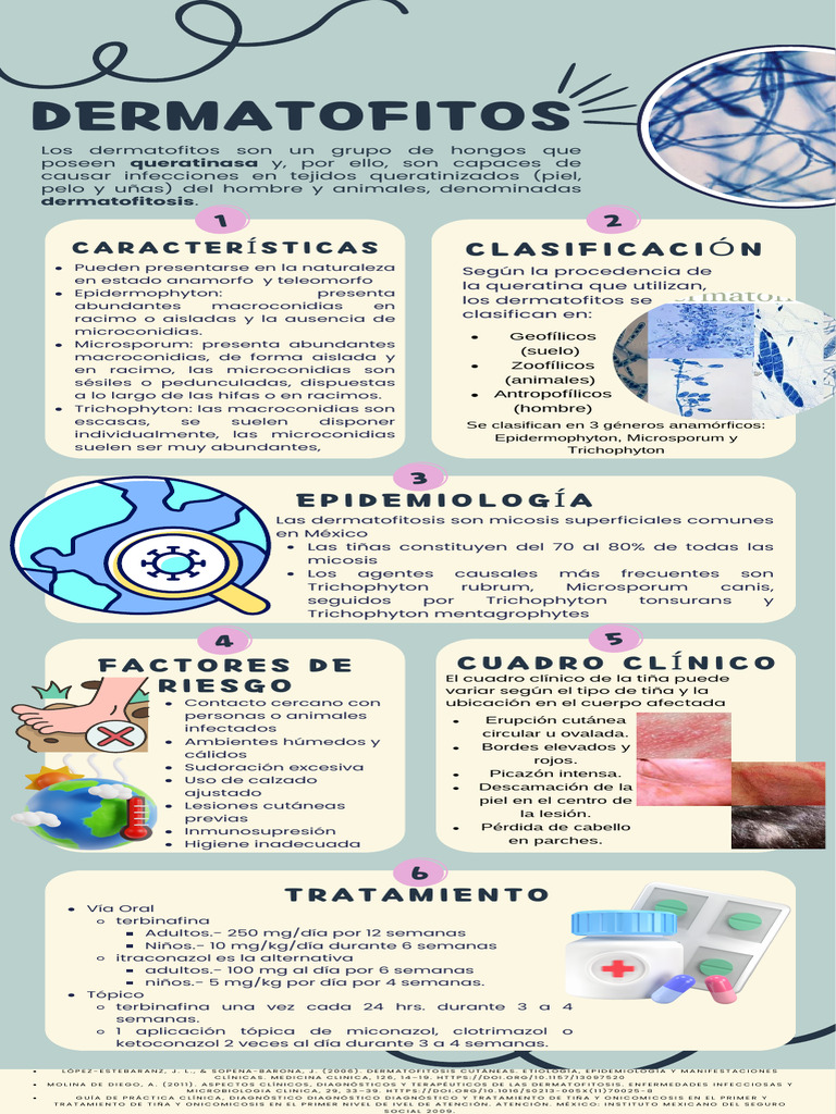 Dermatofitos | PDF | Ciencias de la Salud | Micología
