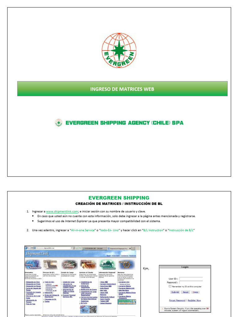 Manual Matriz Web Evergreen | PDF
