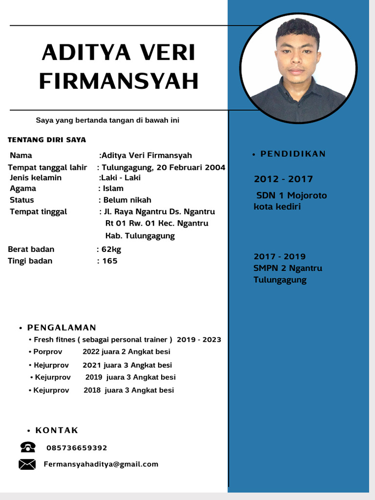 CV Aditya Veri Firmansyah | PDF