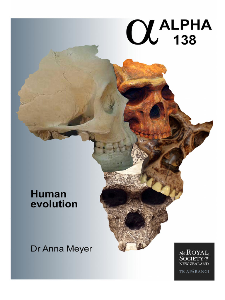 138 Alpha Series Human Evolution | PDF | Homo | Human