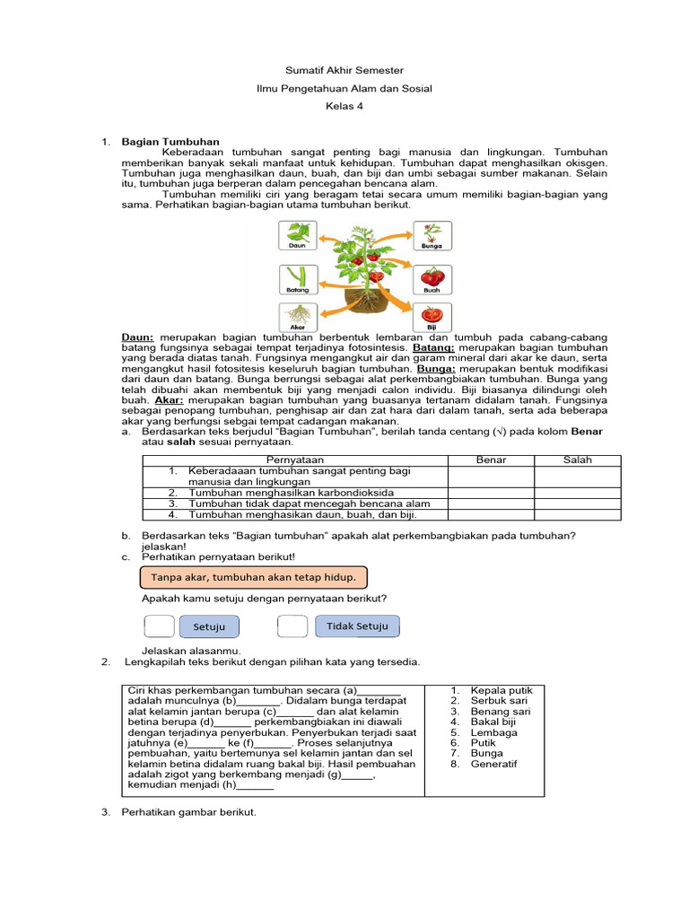 Sumatif Akhir Semester IPAS 4 | PDF | Sains & Matematika