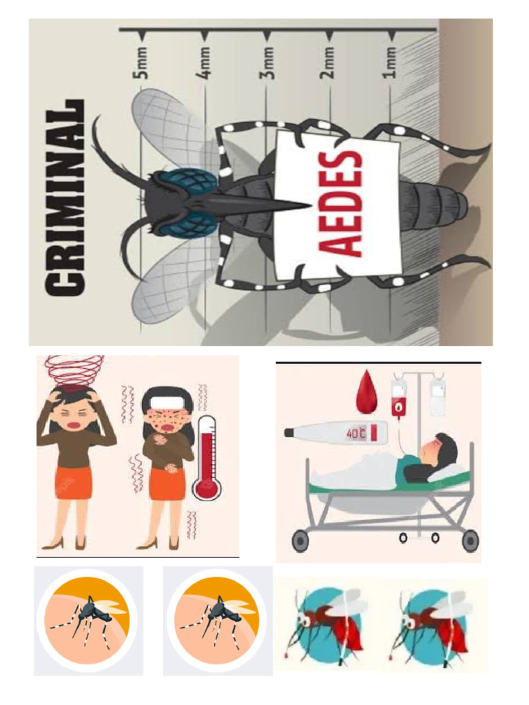 Portada 2 Dengue | PDF