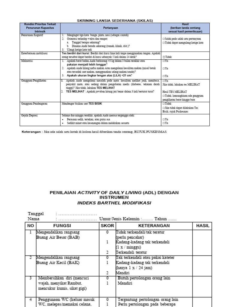 Instrumen Adl Skilas | PDF