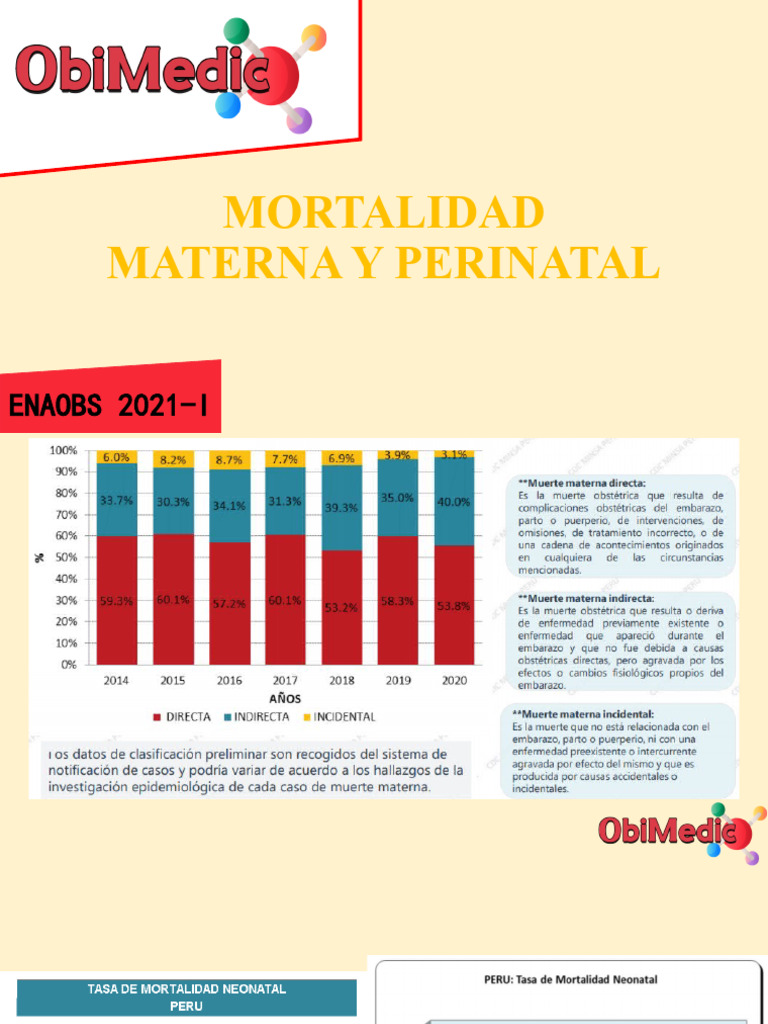 Mortalidad Materna y Perinatal | PDF | Muerte materna | El embarazo