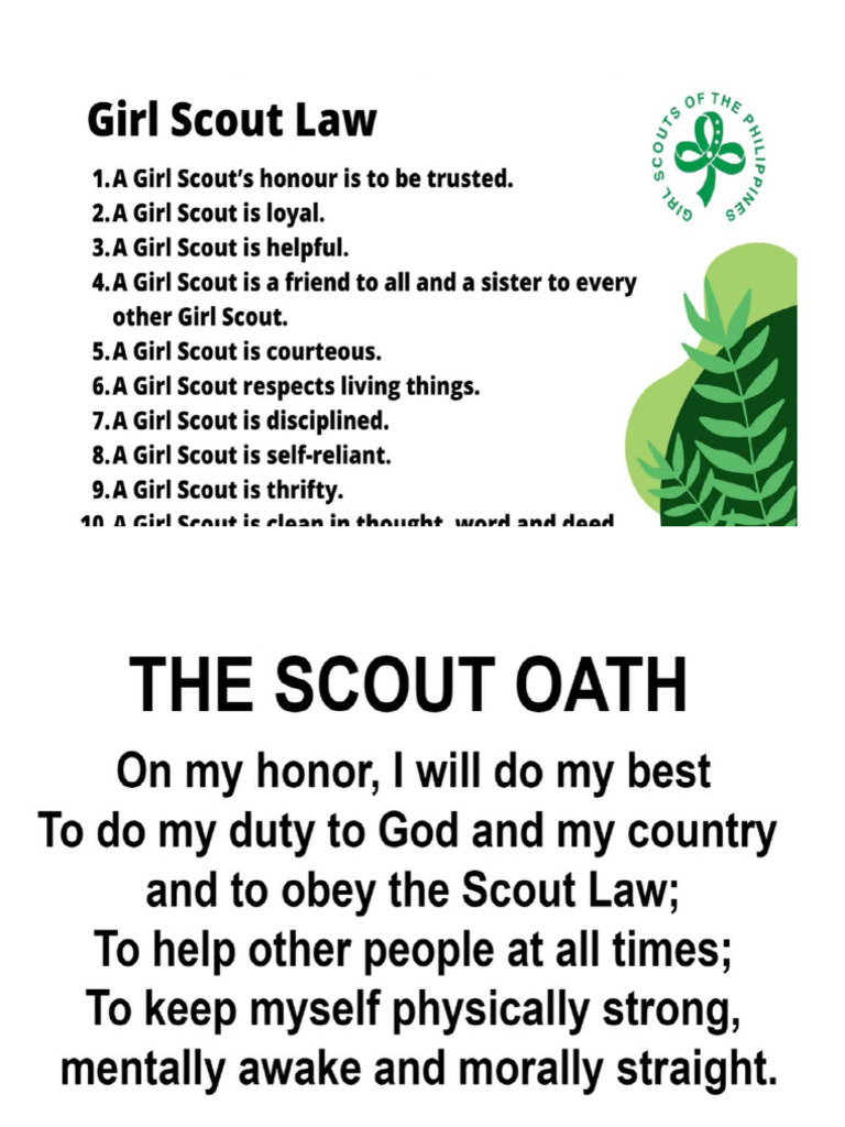 SCOUTS | PDF