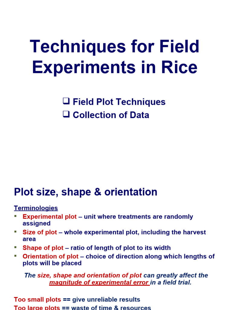 Field Plot Techniques for Rice Experiments | PDF | Experiment | Crop Yield
